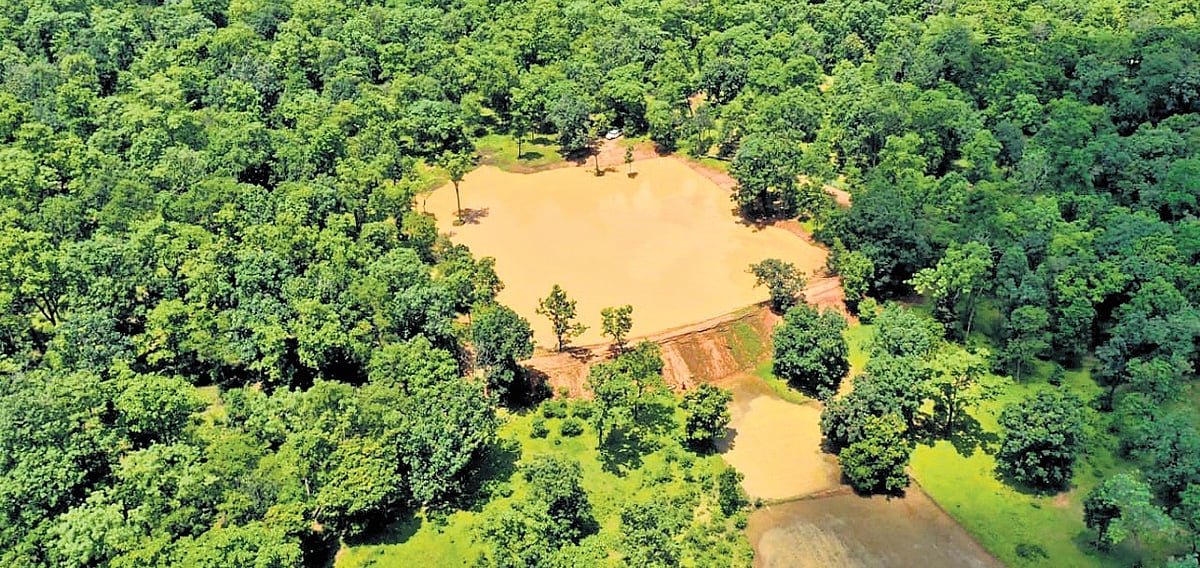 Forest land diversion stalls IREL project in Odisha