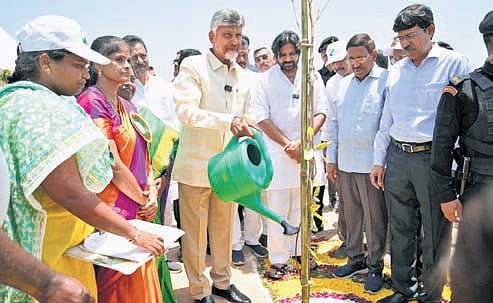 5 crore plant target set for next World Environment Day