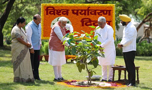 PM Modi plants Sindoor sapling on occassion of World Environment Day