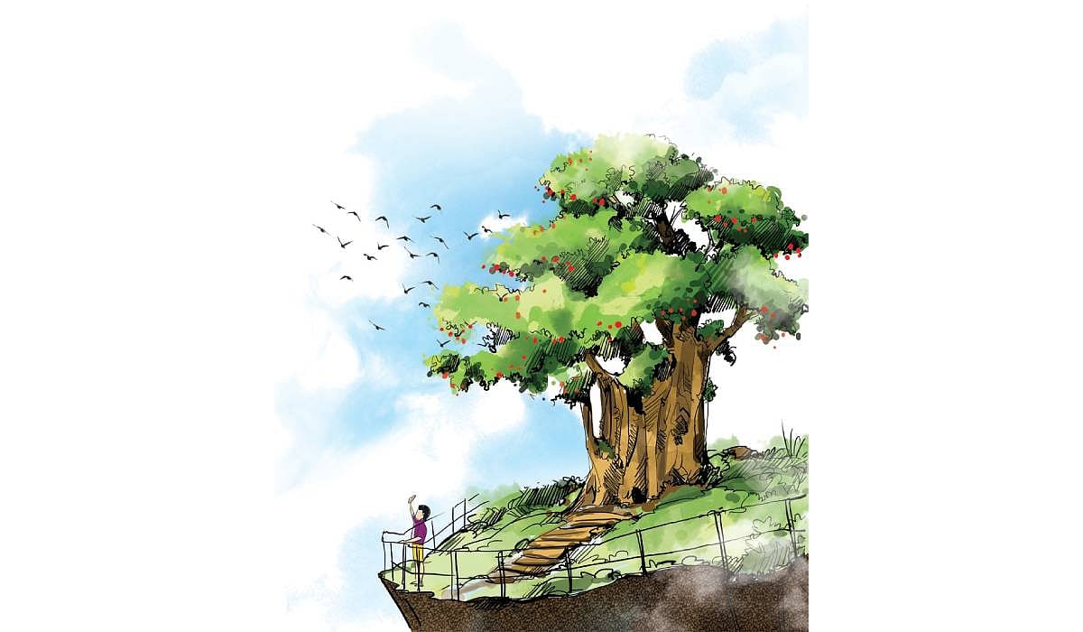 Kerala forest department to launch tree banking scheme to reduce carbon ...