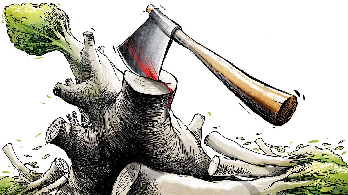 Bengaluru: 626 trees face axe for new jail in Devanahalli