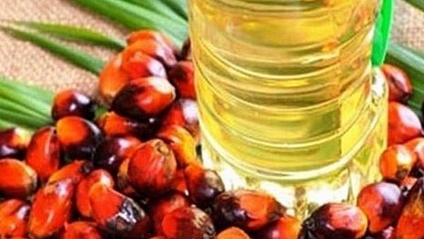 Reconsider decision on import duty cut on crude palm oil: TDP to Centre