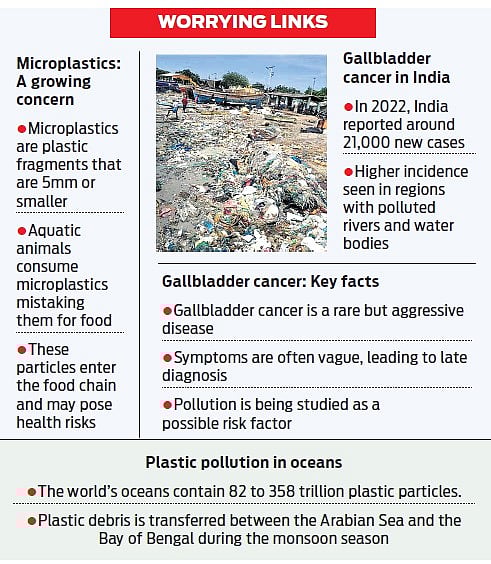Study links microplastics to rise in gallbladder cancer