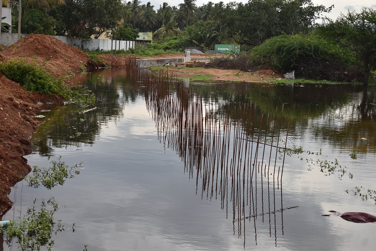 Retaining wall of Sengulam Tank in Coimbatore is ready, says CCMC chief