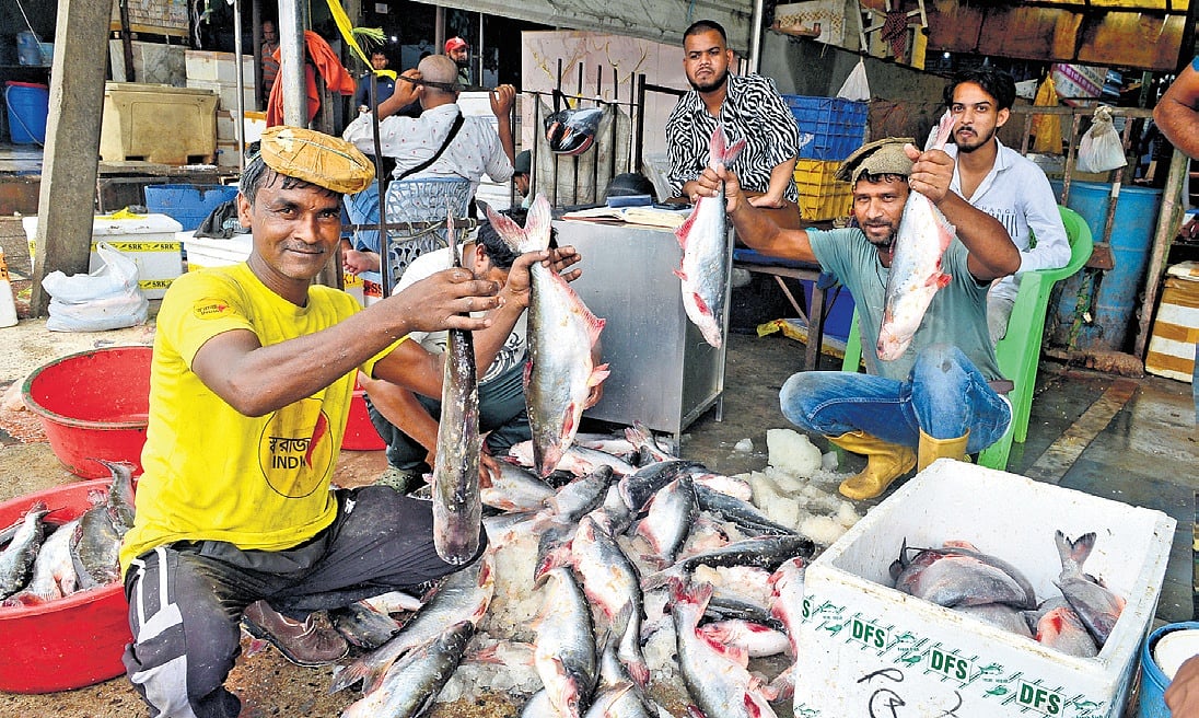 Chasing the catch, barefoot in the grind