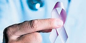 Constant blood pumping could be a reason why heart cancer is rare ...