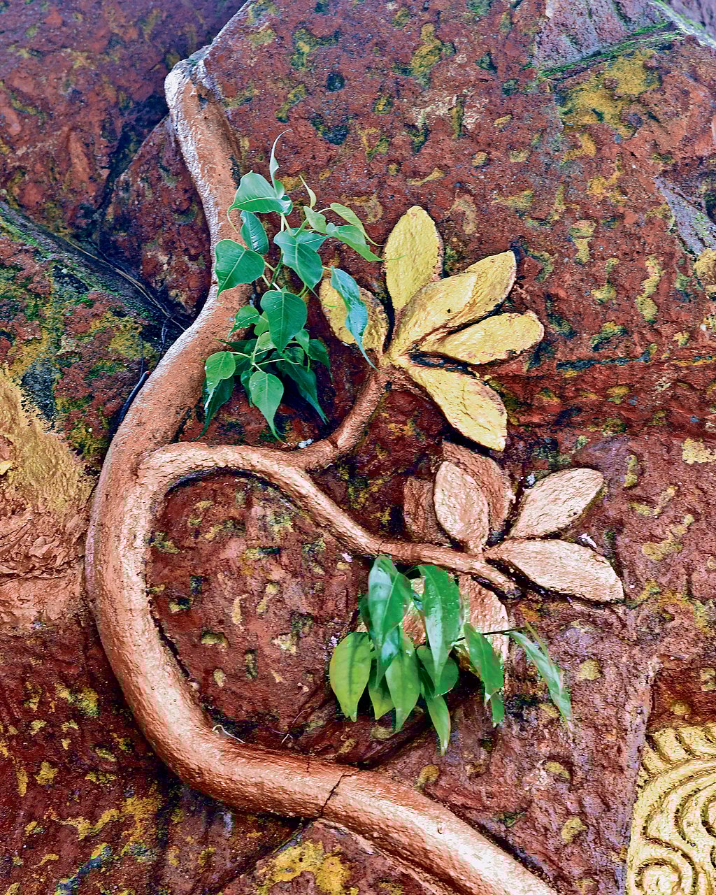 IN PICS: Nature's monsoon art show in Kerala