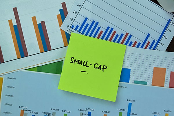 Navigating Volatility with Bajaj Small Cap Fund