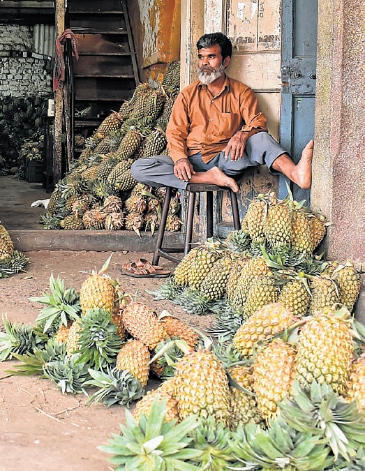 Heavy rain takes toll on pineapple farmers in Karnataka