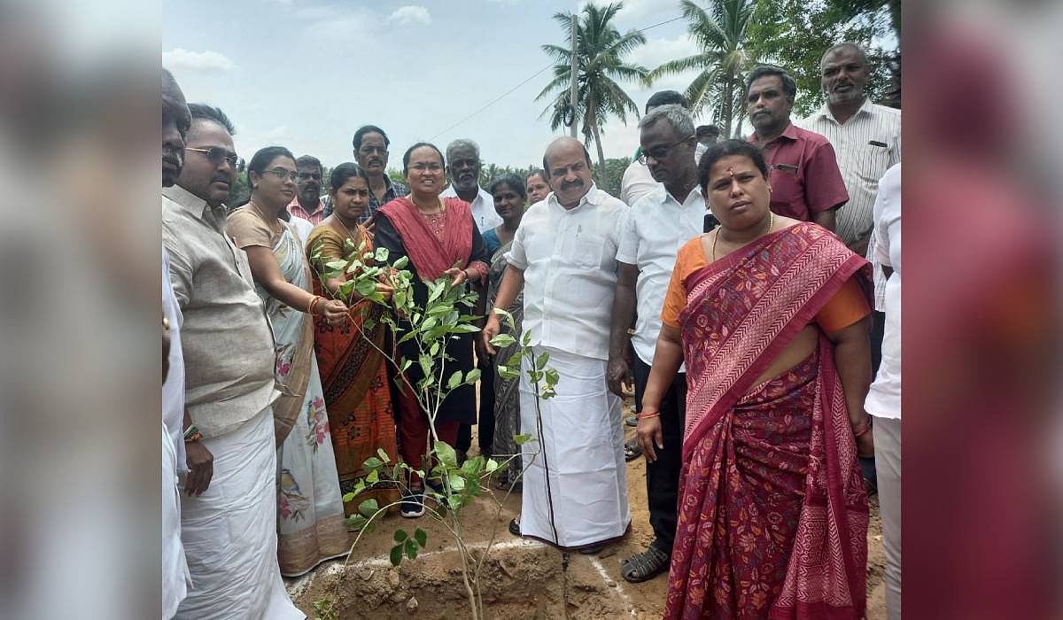 Sapling drive launched on Palar River bank in Vellore