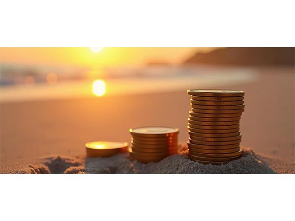 Multi-cap funds: A slice of every cake