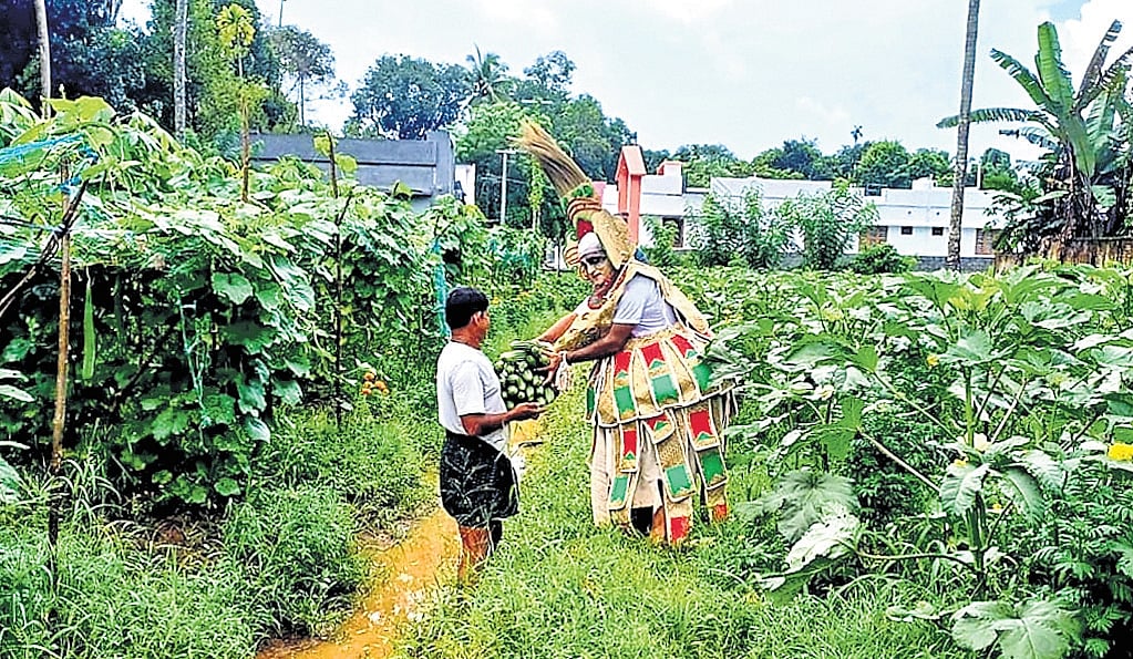 ‘Farm to Kitchen’: Kalamassery is scripting a silent agricultural ...
