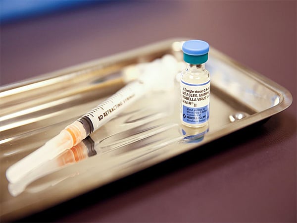 One in four rabies deaths in TN caused by pet dogs, show recent data