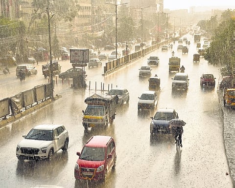 Heavy rains lash Telangana; Mulugu records 223.8 mm, IMD issues orange alert for 6 districts