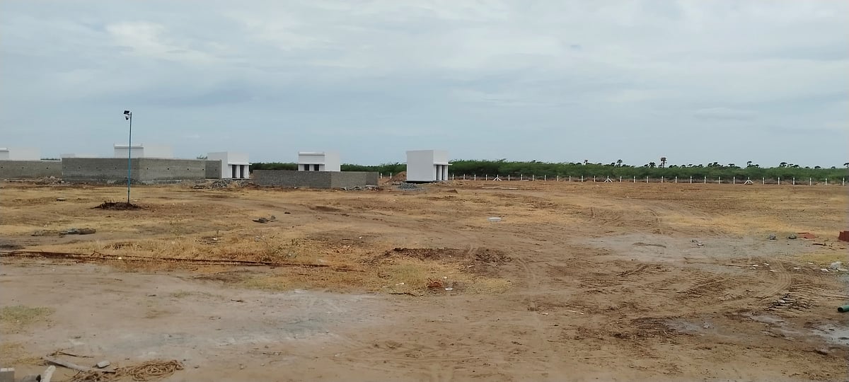 Cracker units cropping up on Thoothukudi border, farmers wary