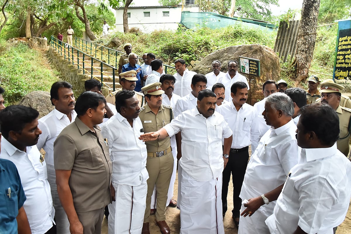 Steps initiated to capture wild boars in Tirunelveli's Kalakkad forest ...