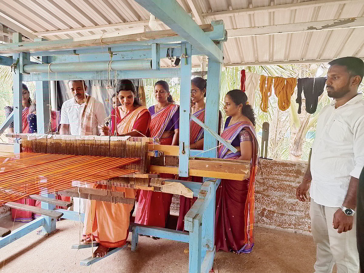 Looning Rural Renaissance