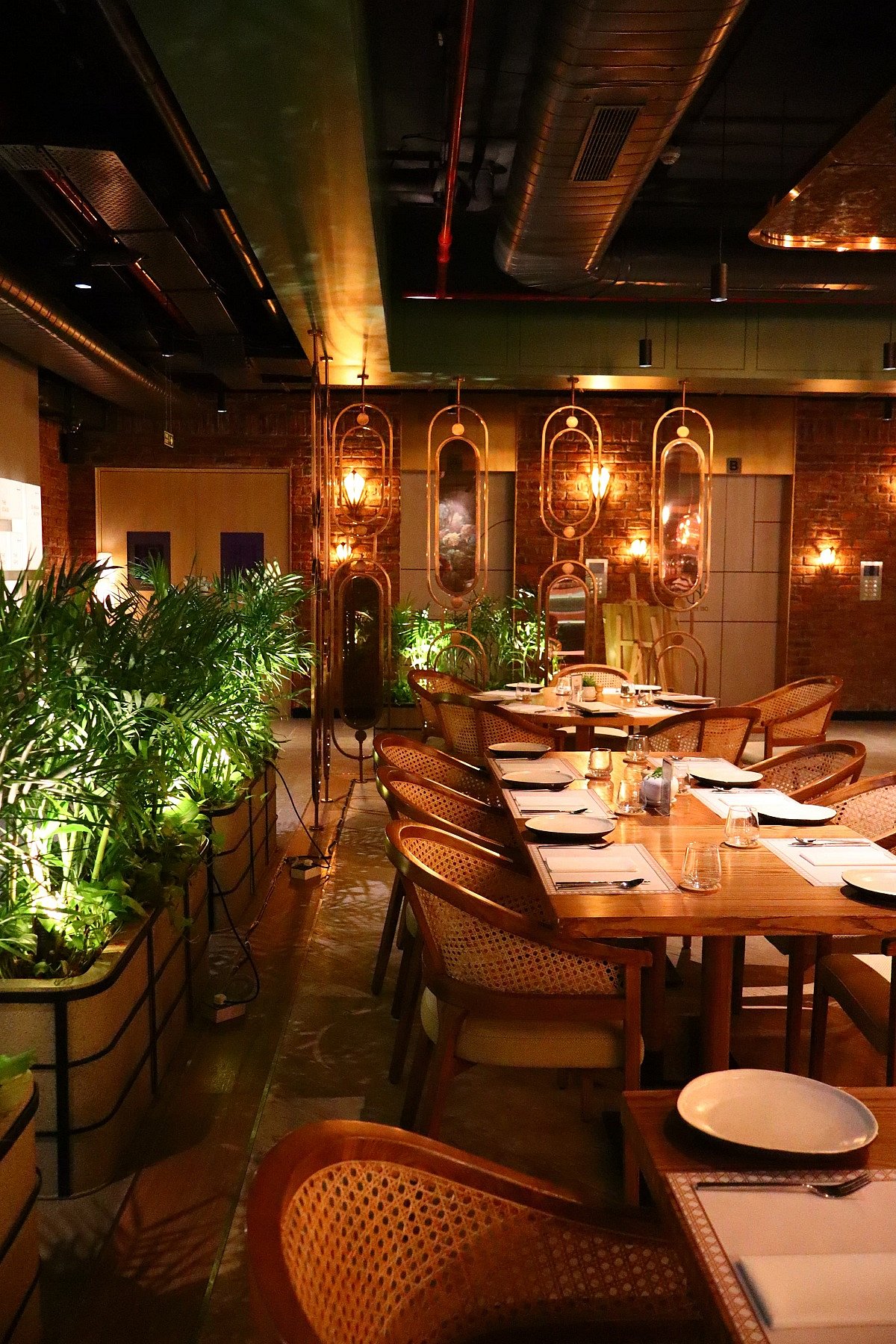 Flavour Meets Flair at Café Reed