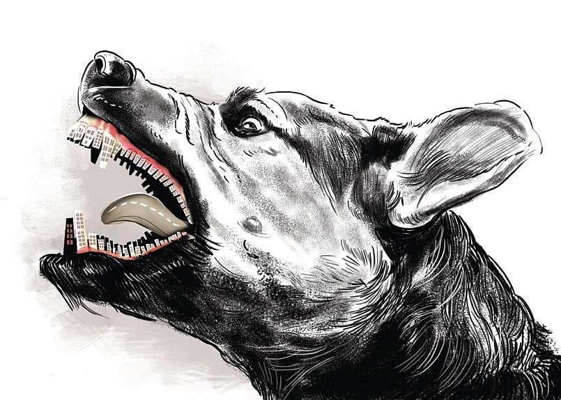 Six injured in stray dog attack at Tamil Nadu's Nallaralapalli