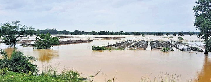 Farmers concerned as floods damage paddy saplings, veg crop in Kendrapara
