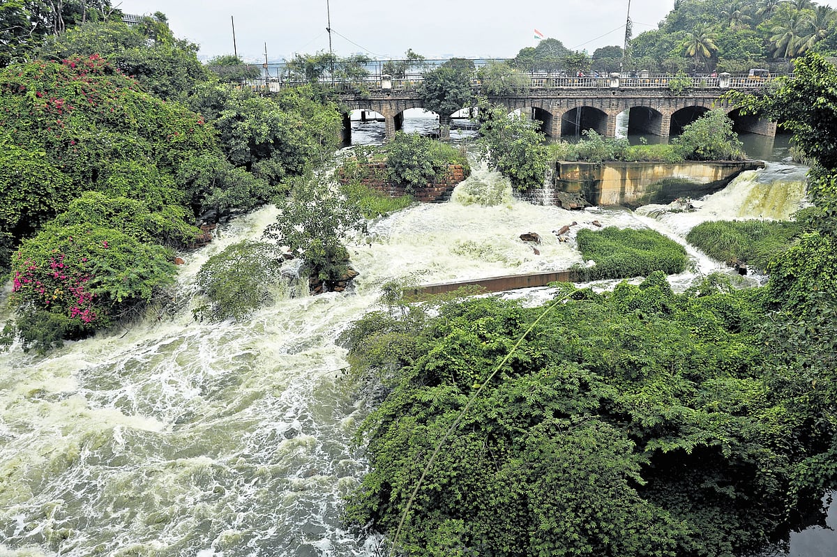 Singur dam water storage to be limited to 20 tmcft