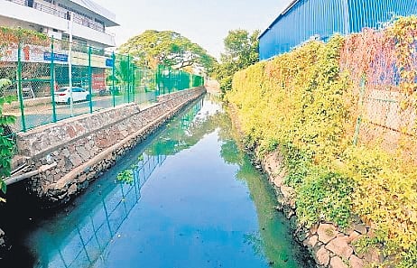 Waterlogging: Canal rejuvenation project in Kochi to be completed in ...