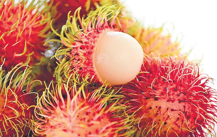 Kerala’s rambutan riches turn sour as prices decline