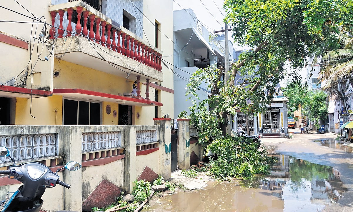 Snapped cable claims life of 57-year-old man in Chennai, fourth ...