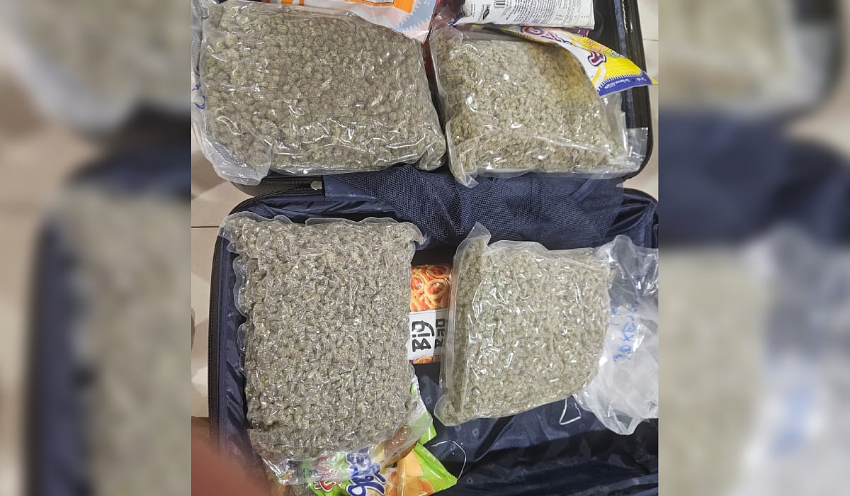 Hybrid ganja worth Rs 4 crore seized at Kochi airport