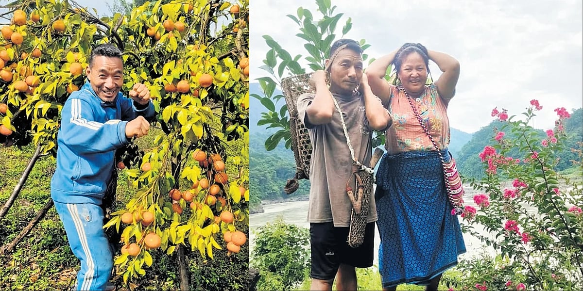 Kicks to Agri Journey: From Shoes to Sustainable Farming - Archynewsy