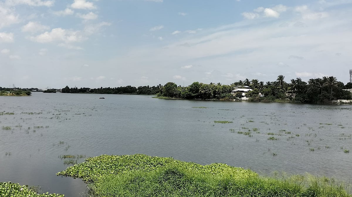 Steady flow in Cauvery, monsoon rain fill irrigation tanks, farmers upbeat