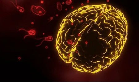 Kerala, NIE launch multi-district study to trace causes of amoebic ...