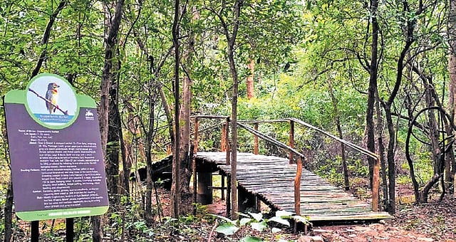 Debrigarh Sanctuary adds another attraction, unveils Birding Trail