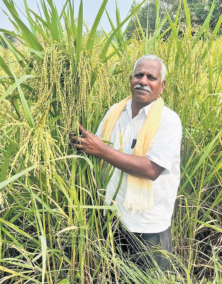 Belagavi farmer sparks silent revolution, preserves over 260 ...