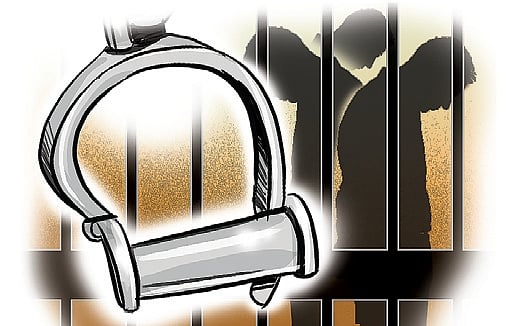 10 held across Odisha in raids against cattle smuggling