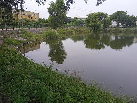 Karaiyan pond renovated at Rs 99 lakh now neglected in TN's Madurai