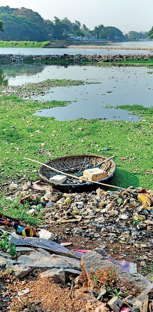 Pollution rises in Bengaluru lakes post monsoon: Study