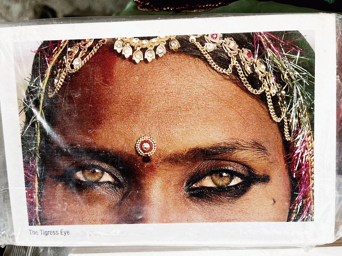 Behind the eyes of the tigress