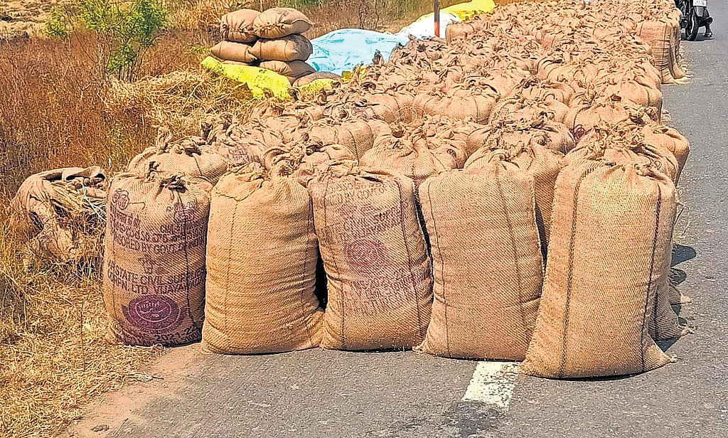 Andhra Pradesh govt's payment within 24 hours of paddy procurement a ...