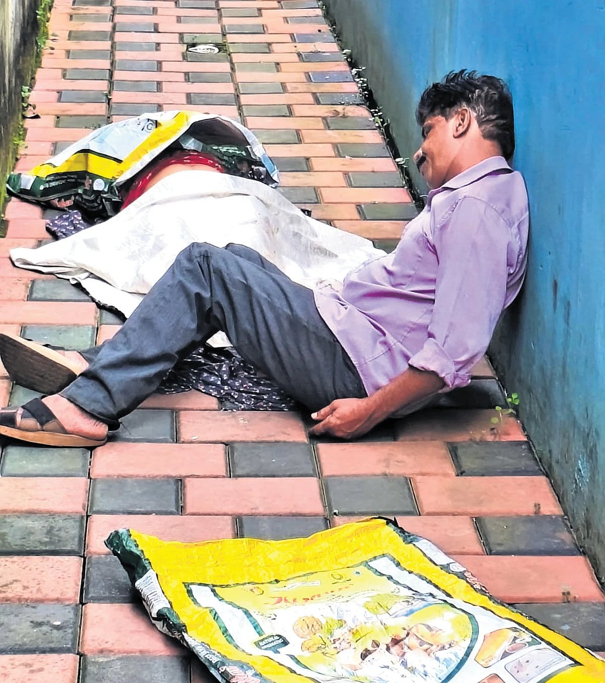 Drunk man strikes Kochi woman to death, falls asleep attempting to hide ...