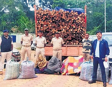 Four arrested for smuggling 105 kg ganja in truck laden with timber logs
