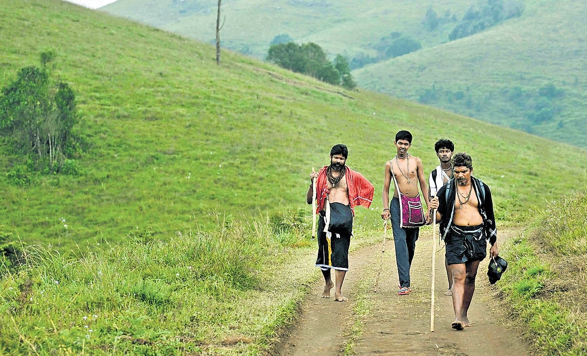 Through grasslands & Shola forests, a sacred journey to Sabarimala