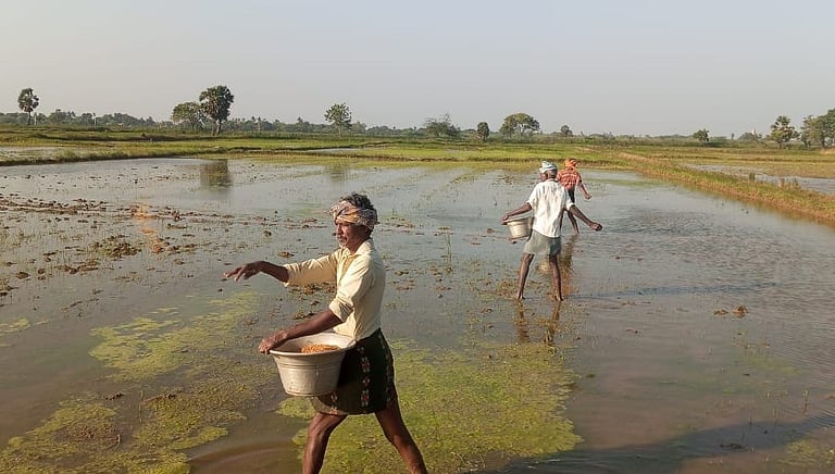 Over 40 per cent of marginal farmers linked to cooperatives report ...