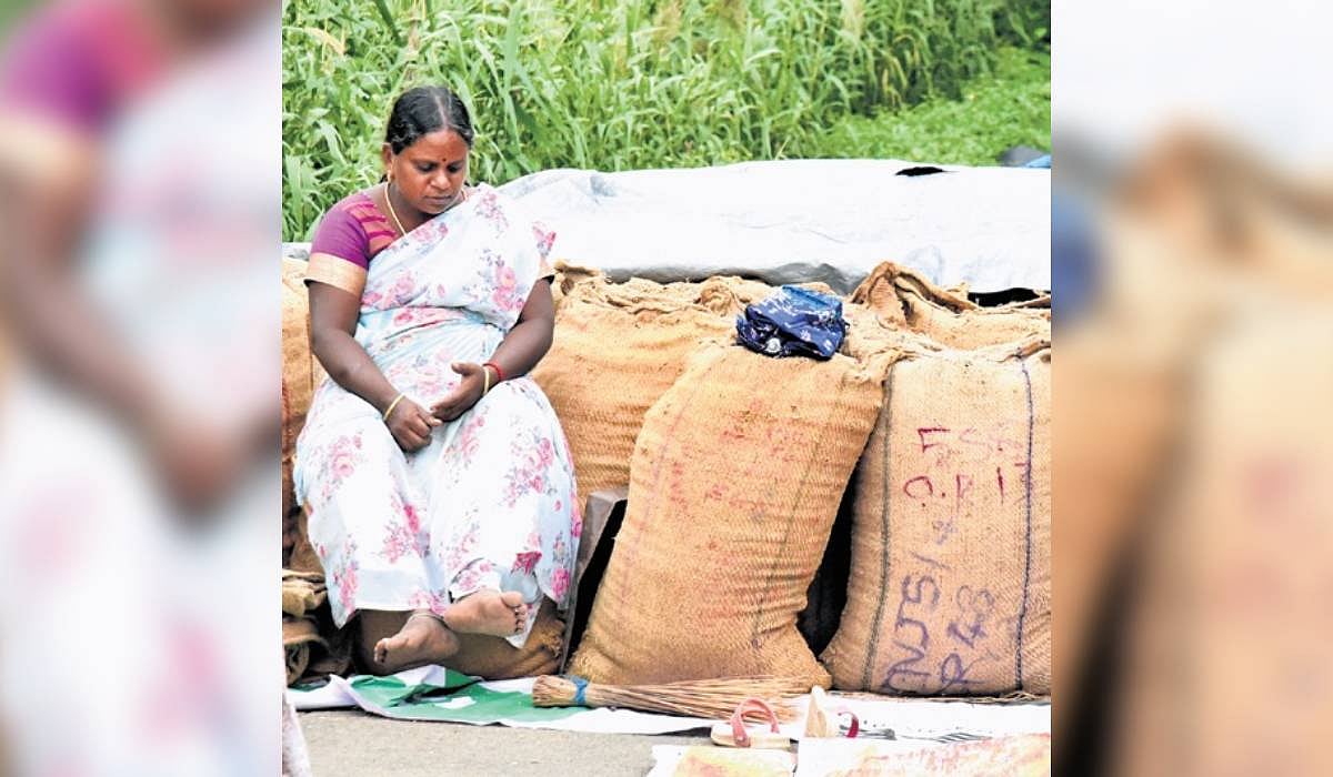 Tweaking paddy norm may lead to loss, can’t accept it: Union minister