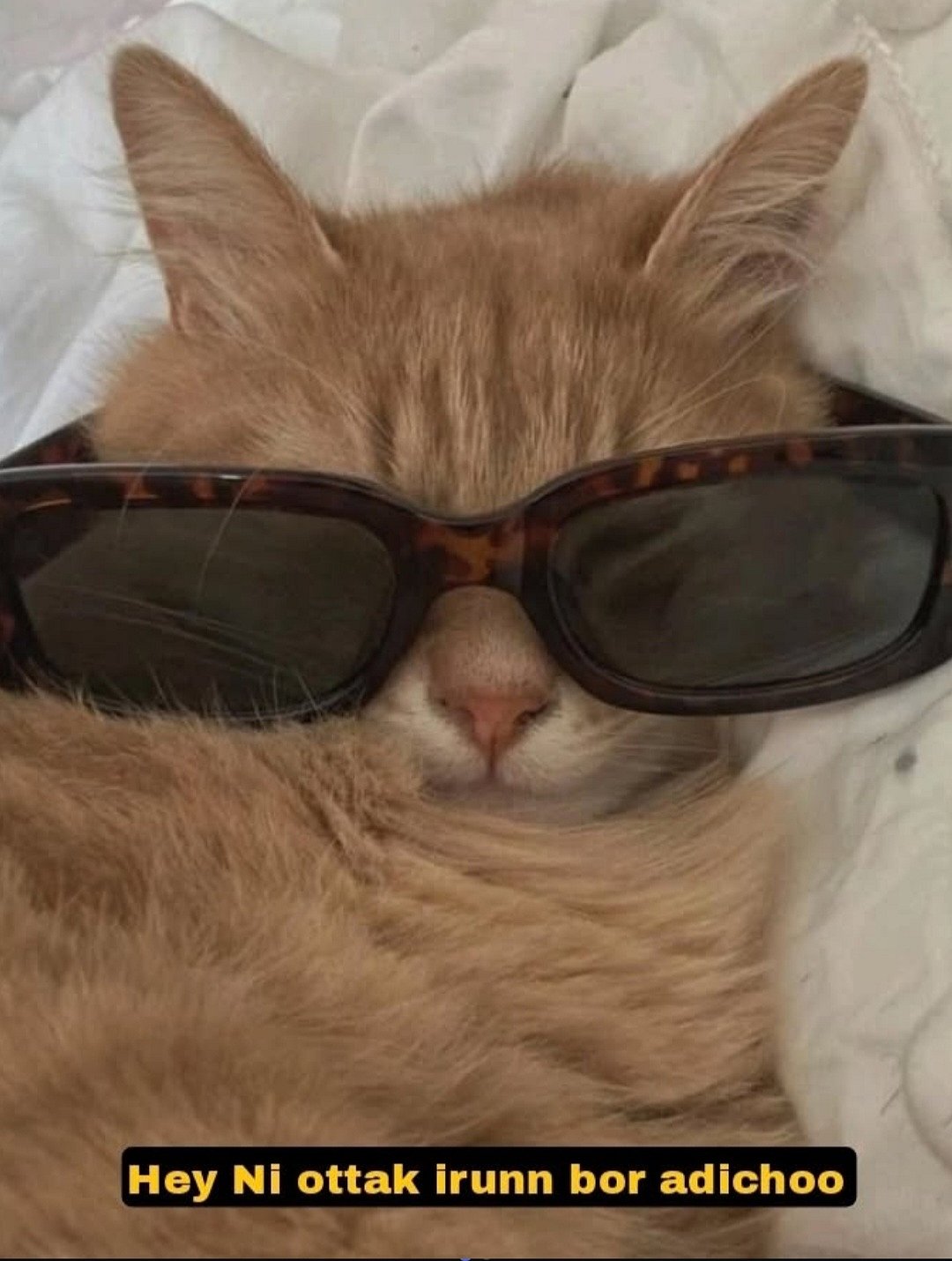 Viral recap 2025: Boho chic to ‘Bavu Swami’