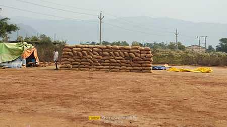 Farmers meet Koraput collector over non-functioning of paddy ...
