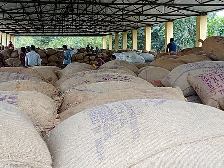 Will not tolerate attempts to disrupt paddy purchase in Odisha: State ...