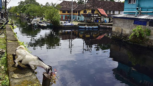 Migrant worker rescued after falling into Thuruthy canal in Fort Kochi