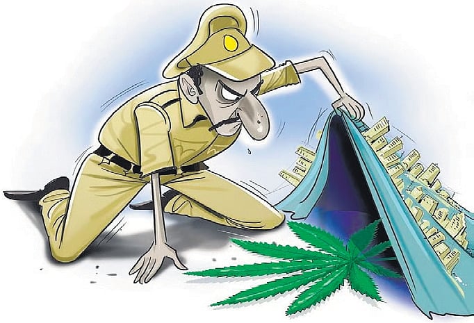 NCB busts international khat trafficking syndicate, seizes 160 kg worth ...