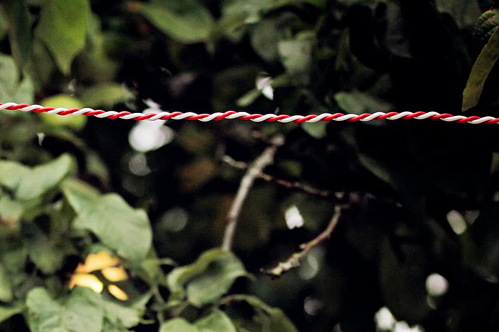 Toddler dies in Odisha after touching live wire drawn illegally by ...